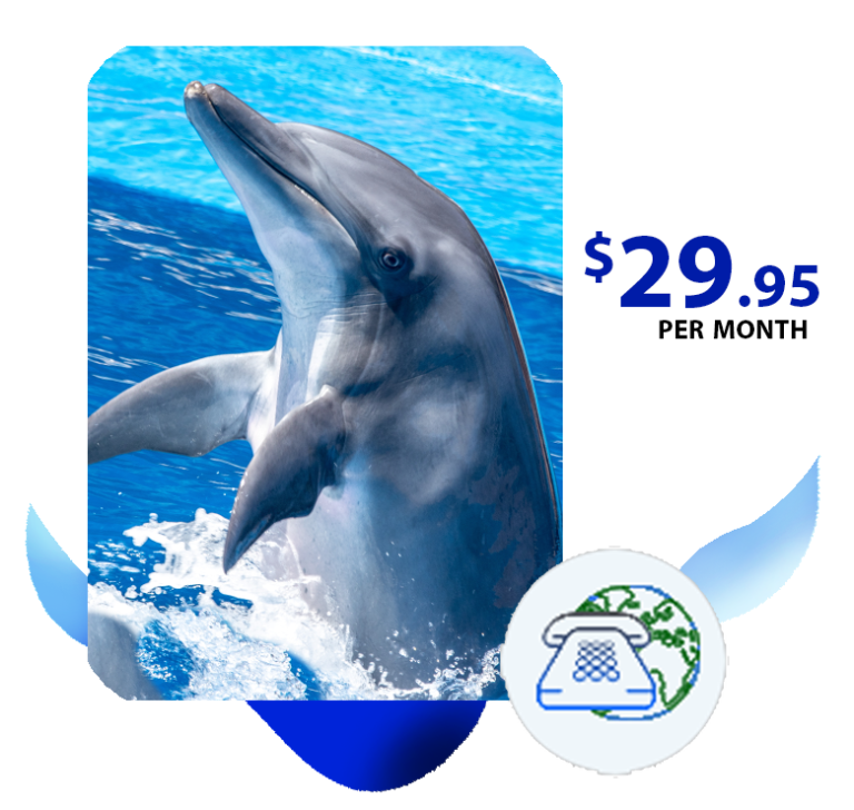 World Phone Plan – Dolphin Global Tel
